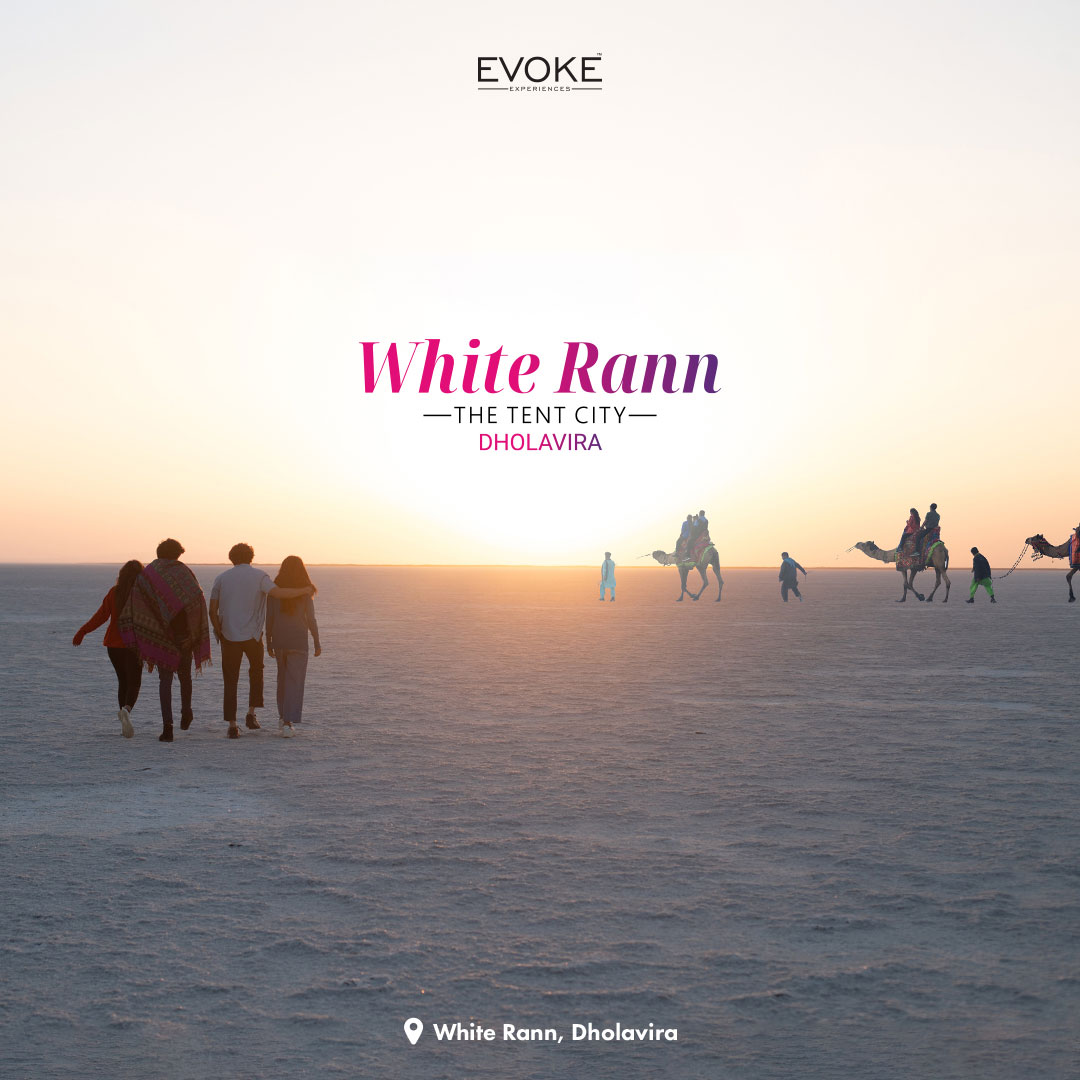 White Rann Tent City - Dholavira